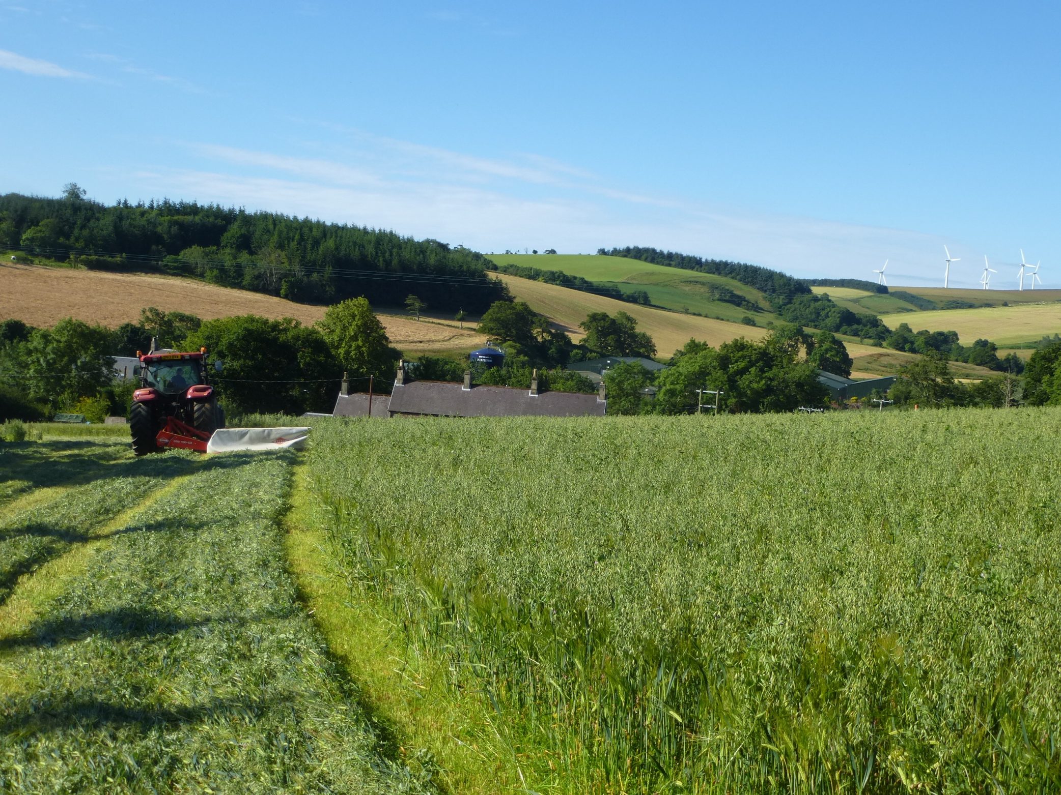 Arable Silage & Whole Crop