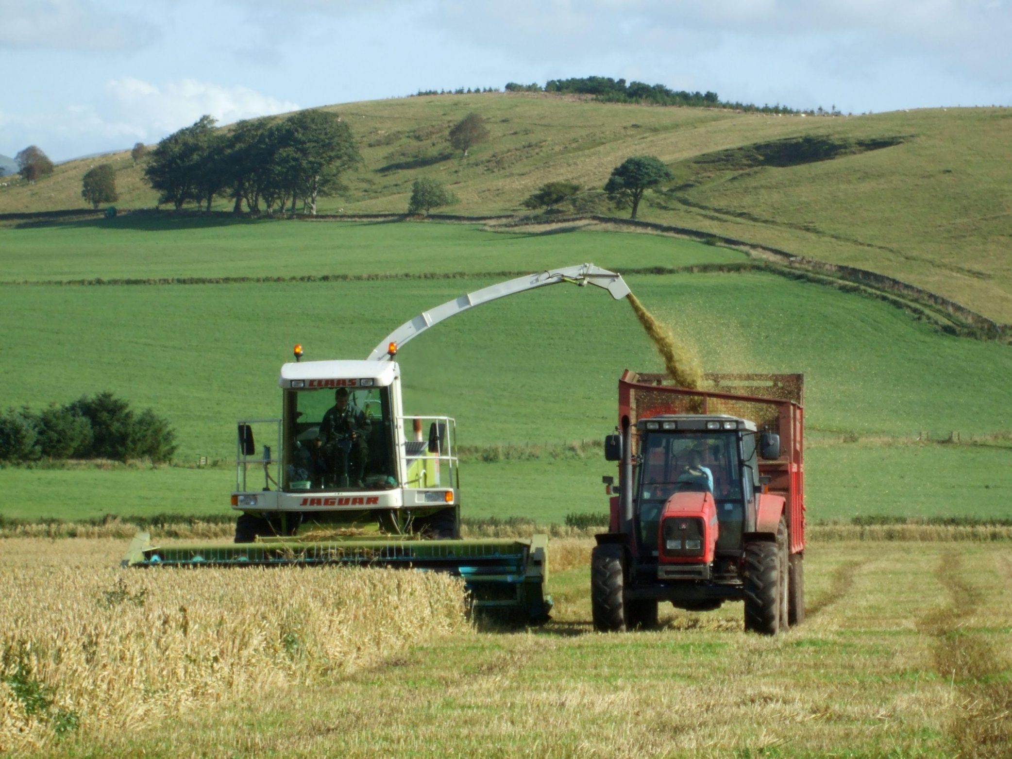 Arable Silage & Whole Crop