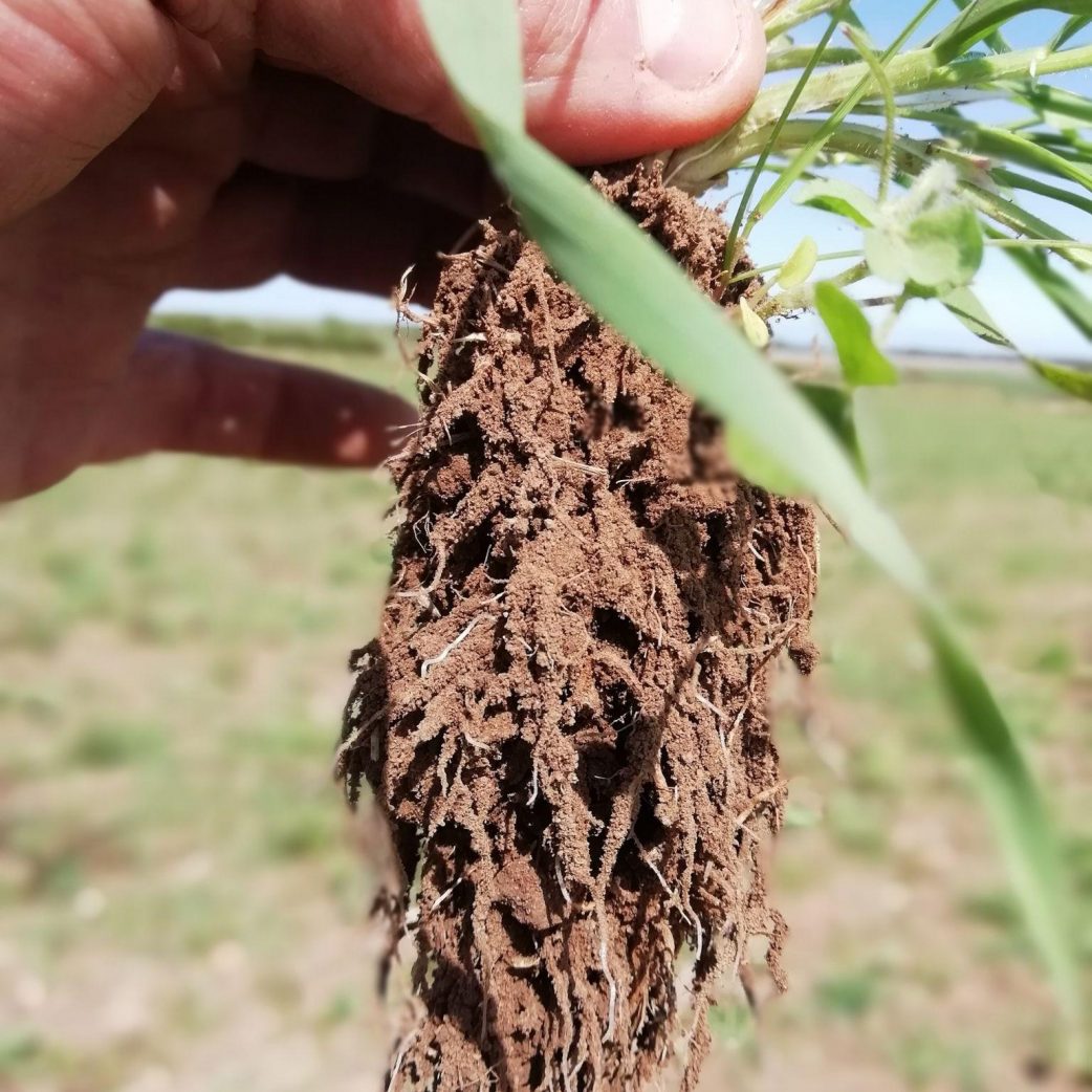 What is biological farming?